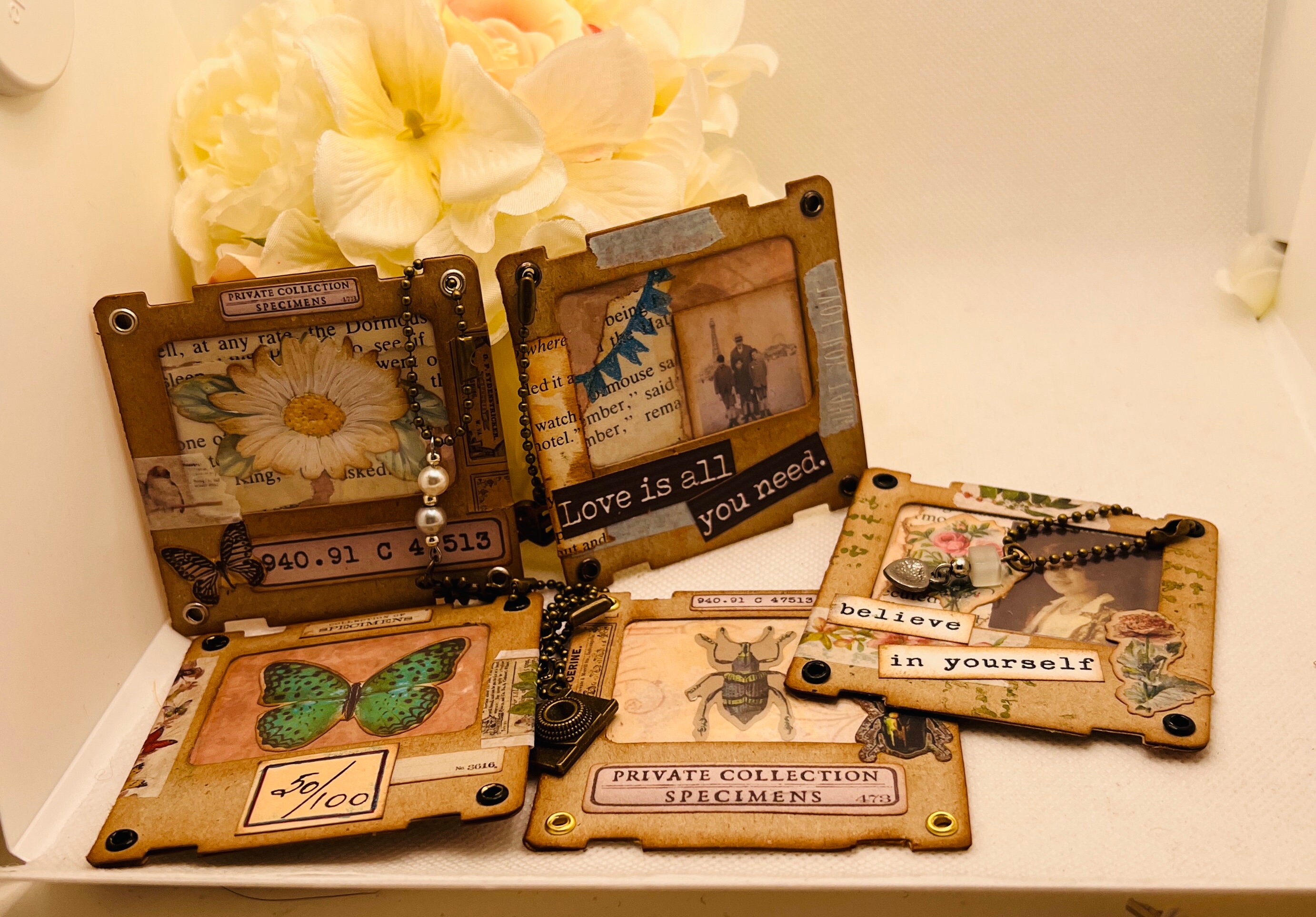 Set of 10 Vintage Style Specimen Slide Shaker Die Cutting - Etsy