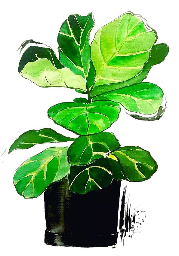 Custom Painting of Plant, ORIGINAL ARTWORK - Etsy