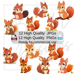 Squirrel PNG, JPG Animal Sublimation Bundle, Crafts Digital Download ...