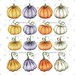 Pumpkins Watercolor Clipart Thanksgiving Clip Art Autumn - Etsy