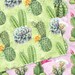 Succulent Digital Paper, Cactus Digital, Succulent Patterns, Surface ...