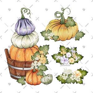 Pumpkins Watercolor Clipart, Thanksgiving Clip Art, Autumn Art, Pumpkin ...