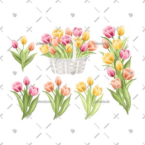 Tulips Digital Kit Digital Clipart Watercolor Clipart Tulip - Etsy