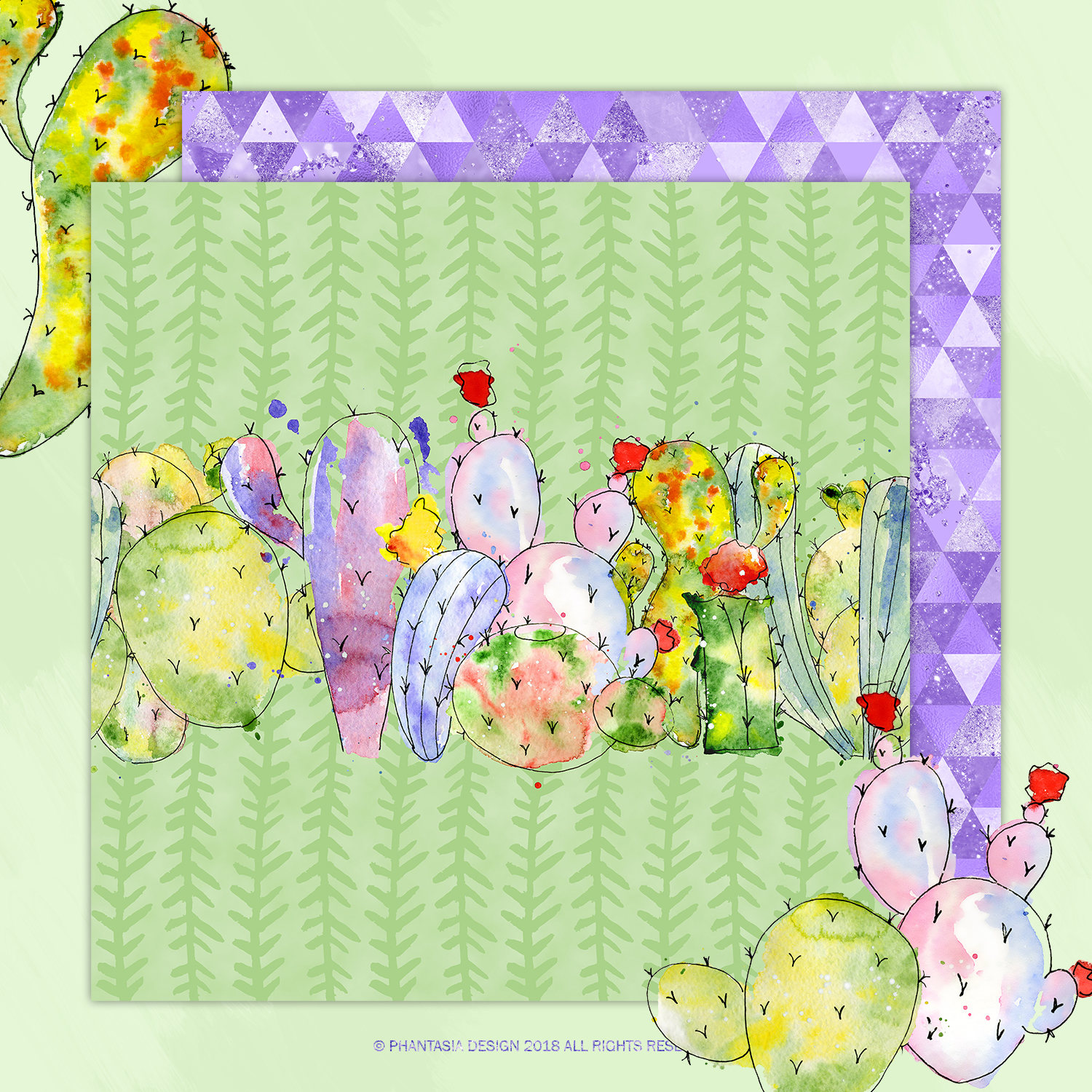 Succulents Digital Paper Cactus Digital Paper Summer Digital | Etsy