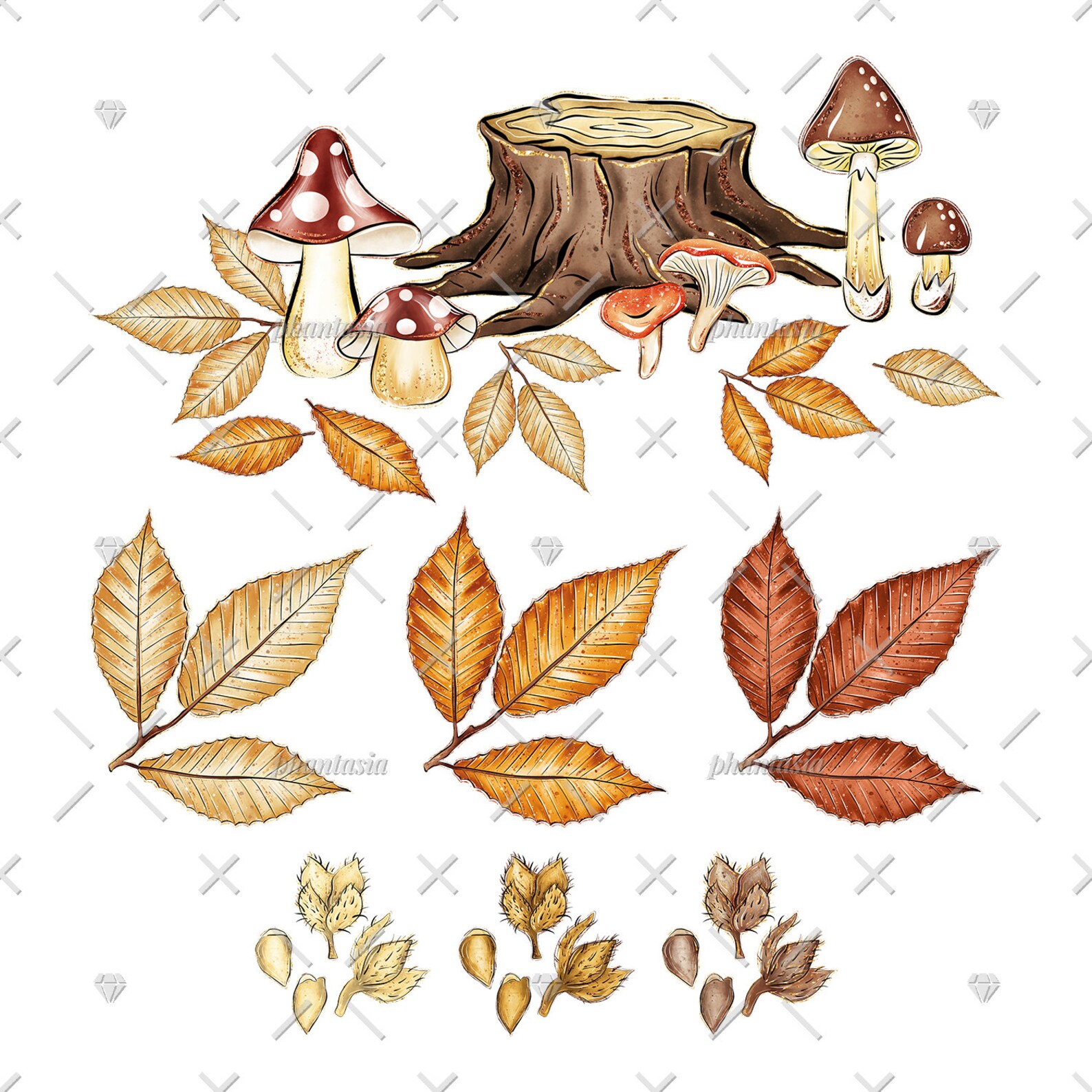 Forest Animals Clipart Set, Cute Animals, Woodland Animals, Fall ...