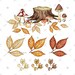 Forest Animals Clipart Set, Cute Animals, Woodland Animals, Fall ...