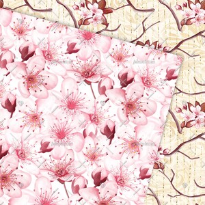 Cherry Blossom Digital Papers, Floral Patterns, Seamless Patterns ...