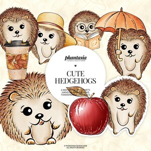 Cute Hedgehogs Cliparts, Autumn Clipart, Fall Clipart, Planner Clipart ...
