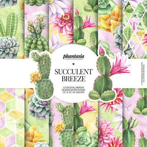 Succulent Digital Paper Cactus Digital Succulent Patterns - Etsy