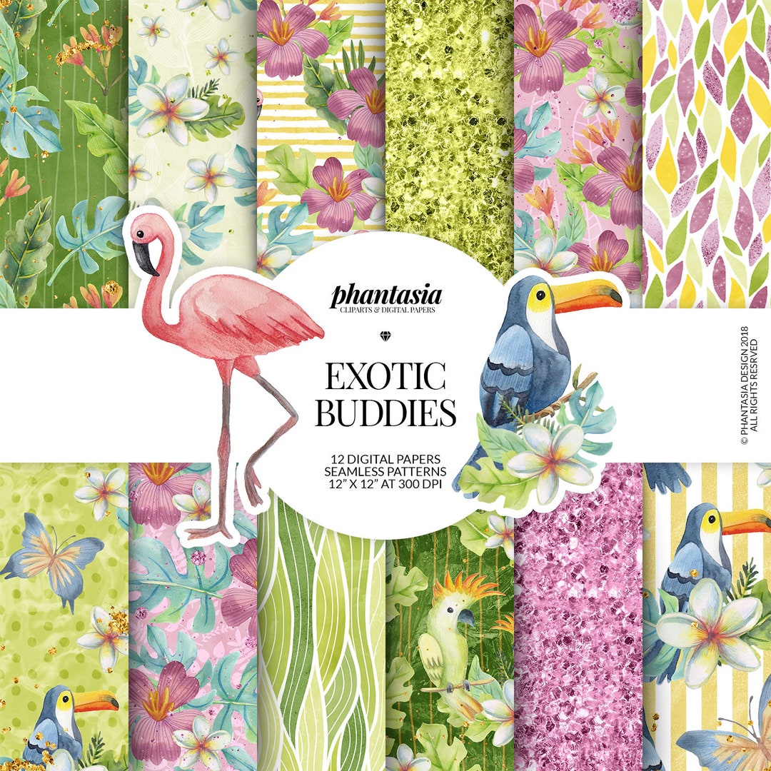 Exotic Birds Digital Papers, Exotic Flowers, Flowers Digital Paper ...