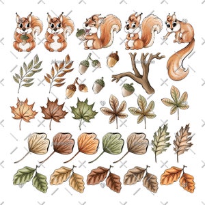 Cute Squirrels Watercolor Cliparts, Fall Cliparts, Cute Watercolor ...