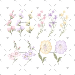 Butterflies Watercolor Cliparts, Spring Butterfly, Pastel Butteflies ...