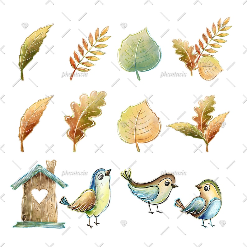 Fall Birds Clipart Bundle Birds Digital Papers Birdhouse - Etsy