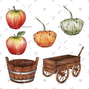 Pumpkins Watercolor Clipart, Thanksgiving Clip Art, Autumn Art, Pumpkin ...