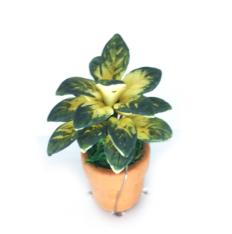 Dollhouse Miniature Artificial Variegated Plant in a Clay Pot - Etsy