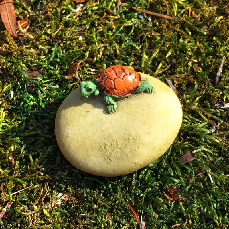 Miniature Turtles - Etsy