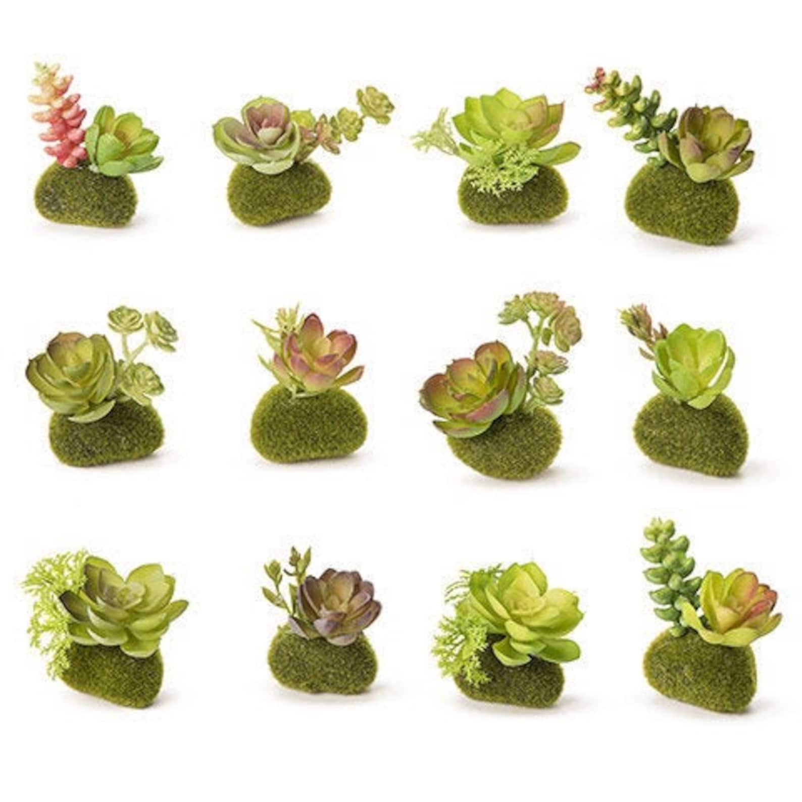 Artificial Succulents in Moss Mound 2 Faux Succulents for - Etsy