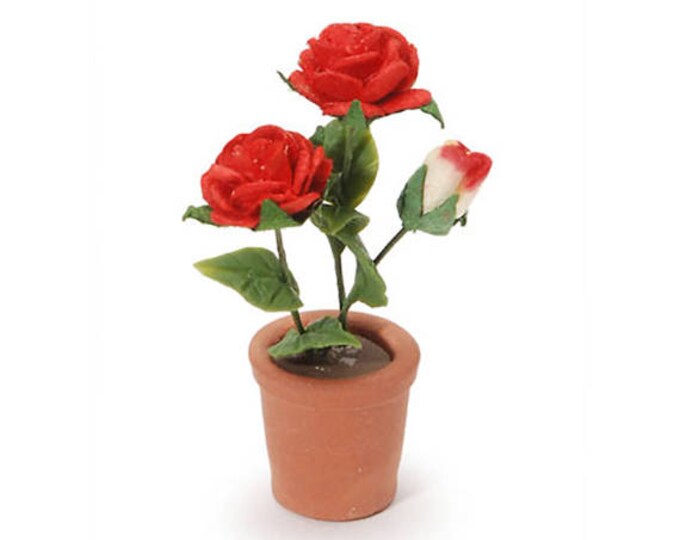 RARE-MINIATURE ROSE Red Flower Plant Tree 3,10,20 or 30 Seeds combined ...