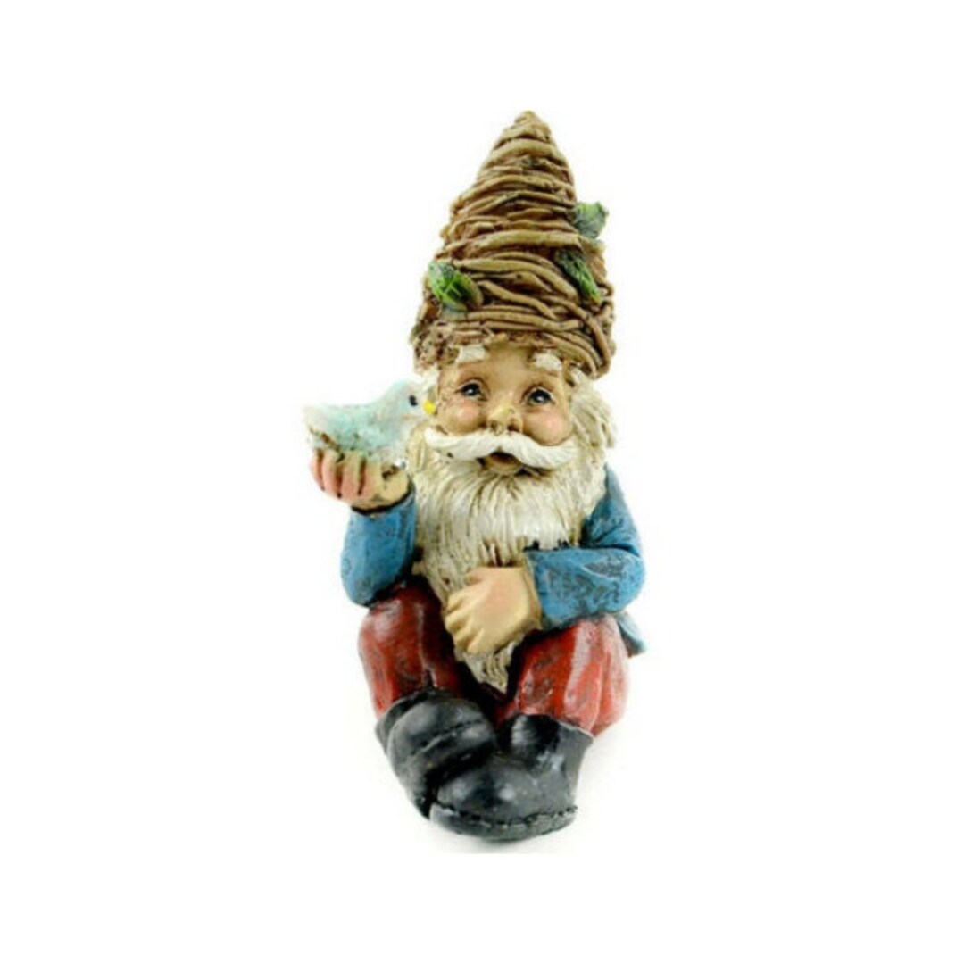Gnome Holding a Bird Fairy Garden Gnome Bird Watching Gnome - Etsy