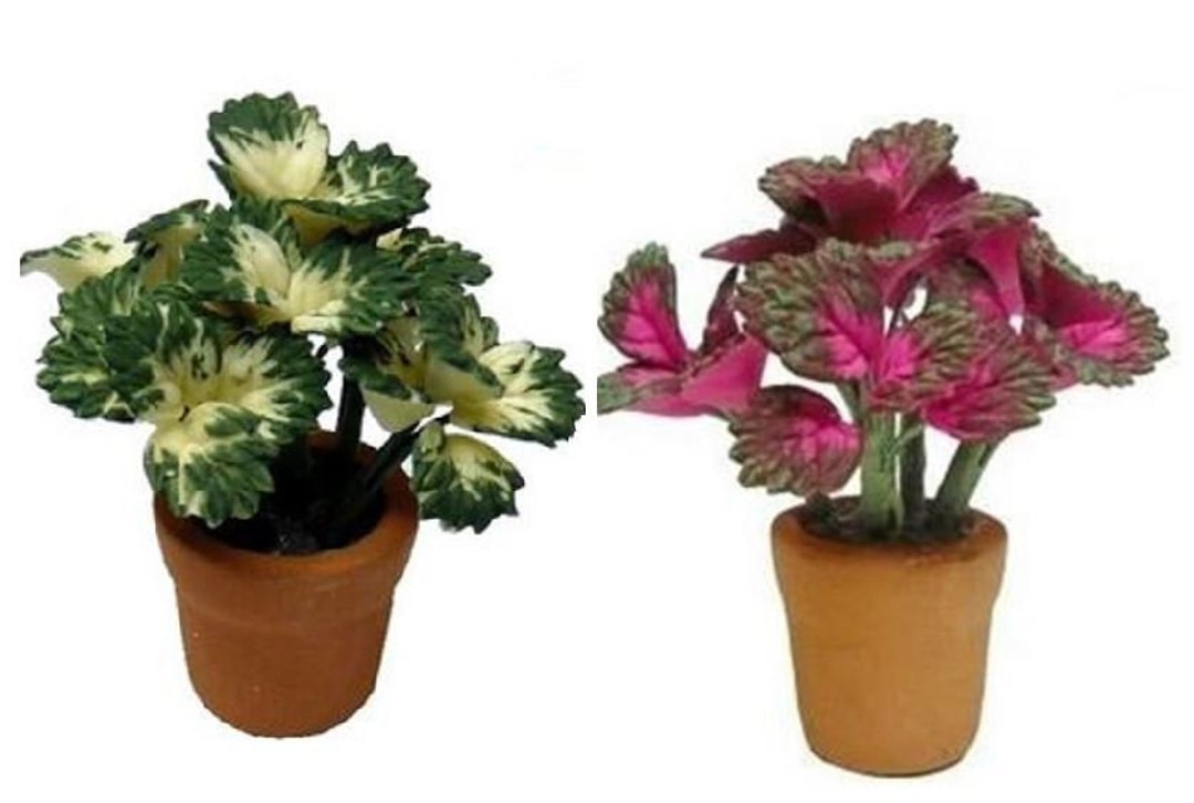 Choice of Miniature Artificial Coleus Plant - Etsy