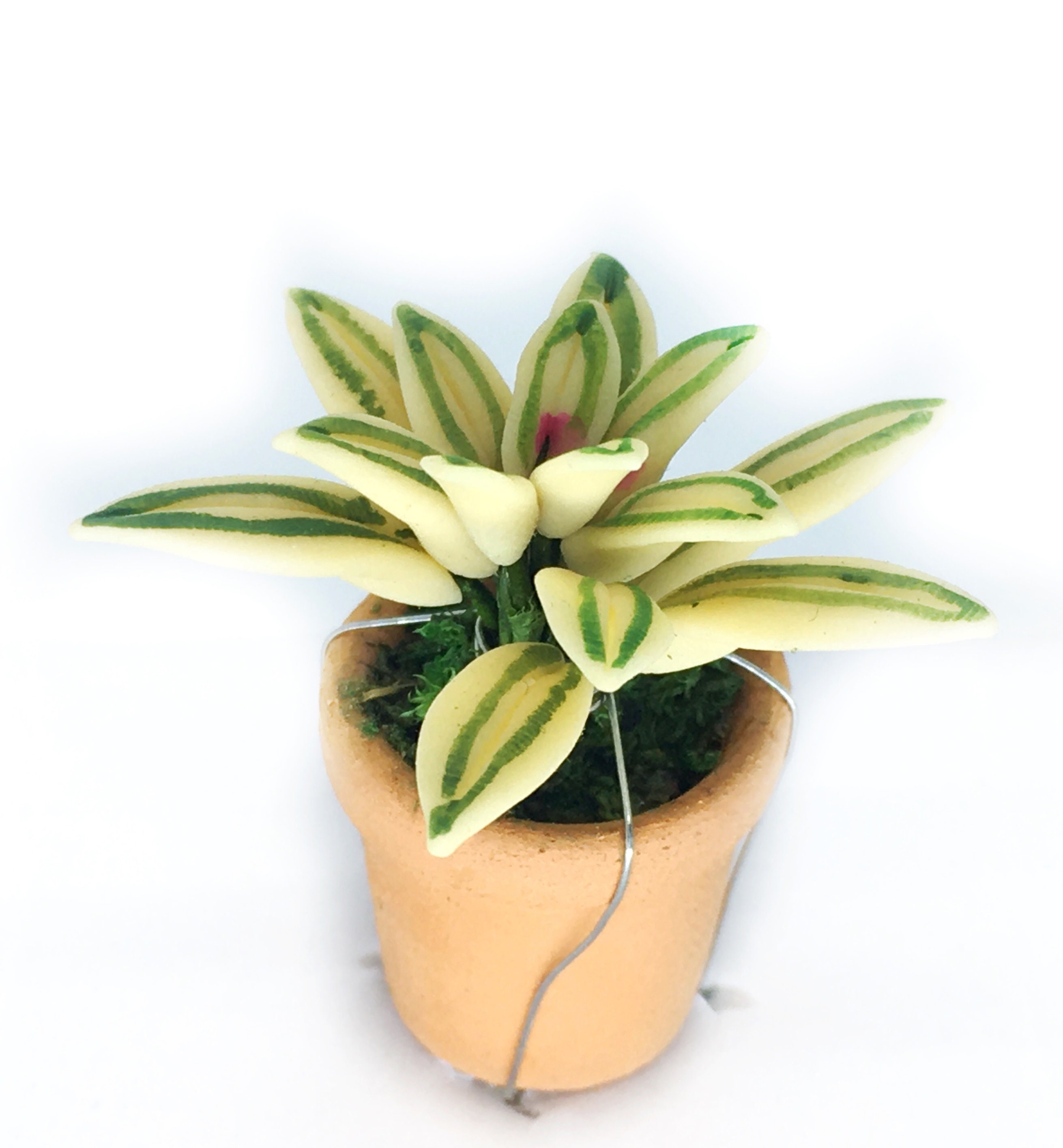 Dollhouse Miniature Artificial Variegated Plant in a Clay Pot - Etsy
