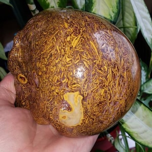Mariam Jasper Calligraphy Stone Skull - Etsy