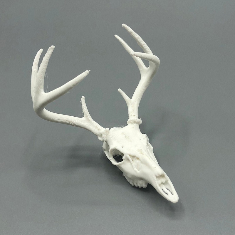 3d Print Deer Skull Mount - Etsy