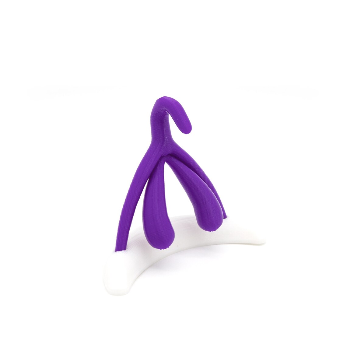 3d Printed Clitoris Model Full Size Anatomical Model Of Etsy