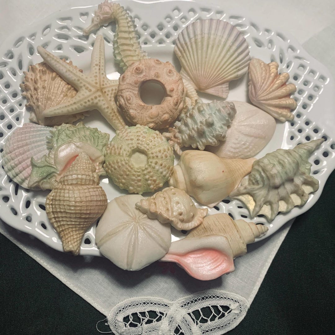 15 Edible Seashell Decorations - Etsy