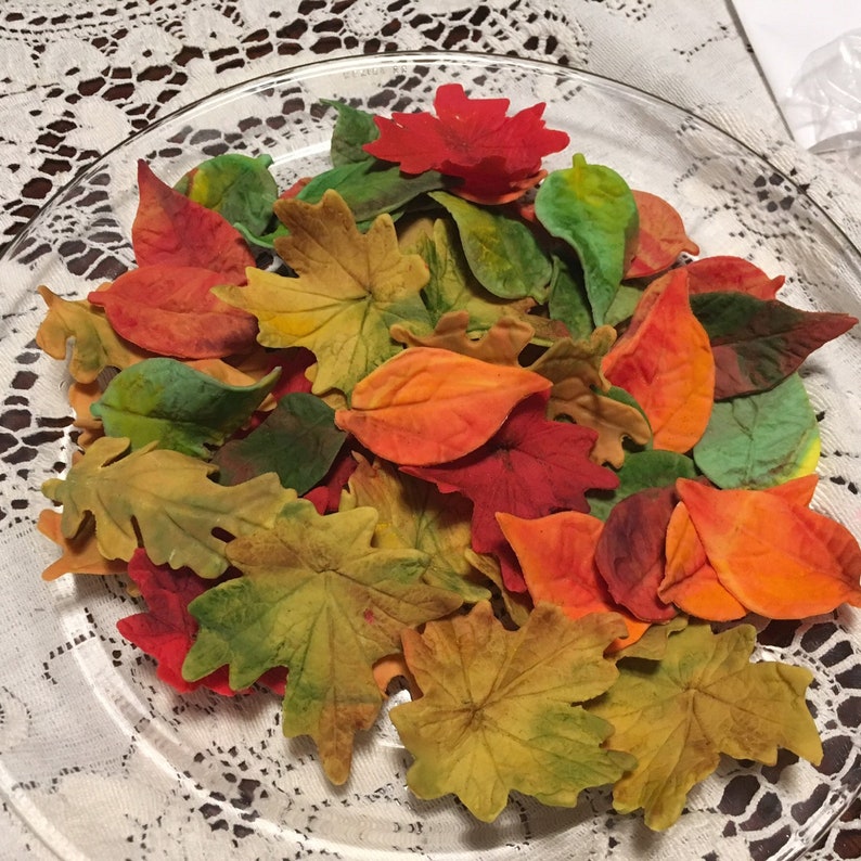 20 Assorted Autumn Leaves-edible Realistic Fall Leaves-gum | Etsy