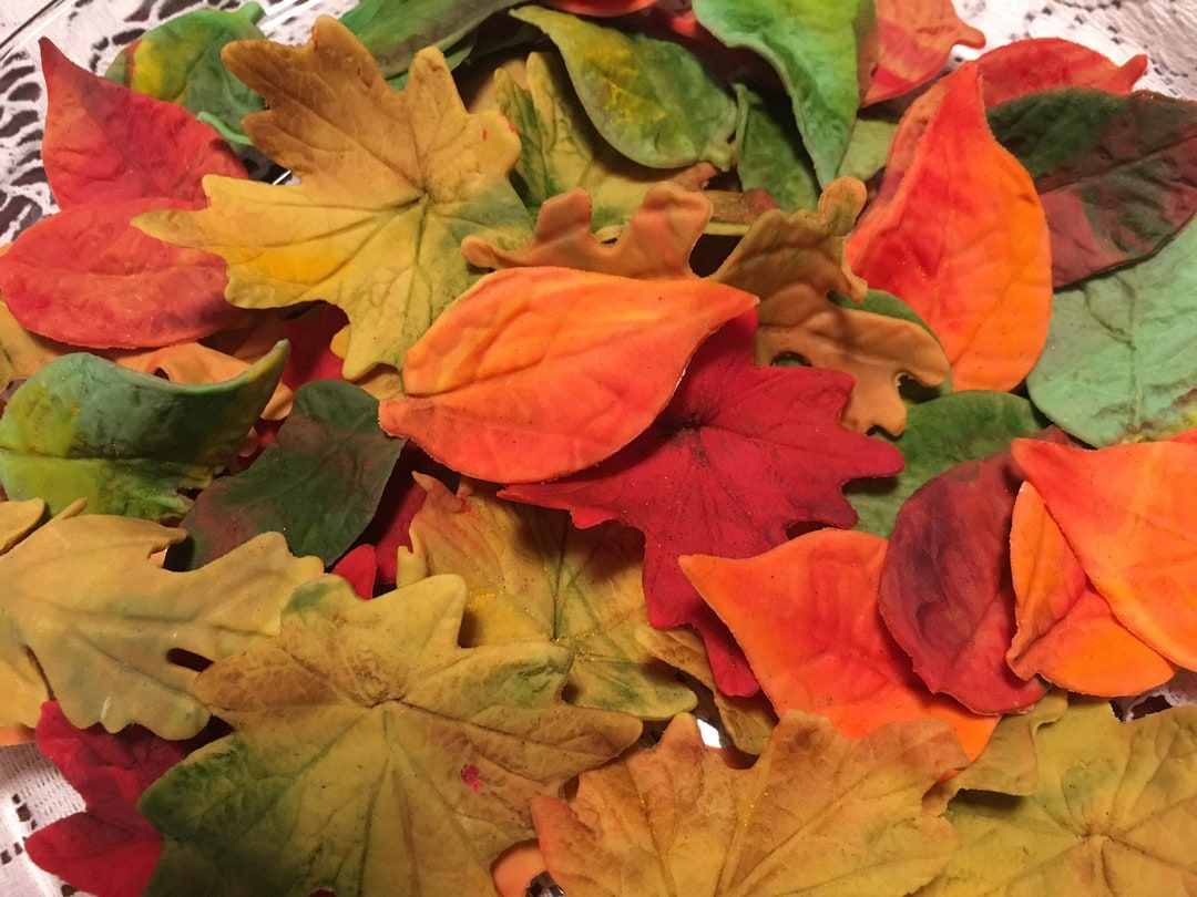 20 Assorted Autumn Leaves-edible, Realistic Fall Leaves-gum Paste ...
