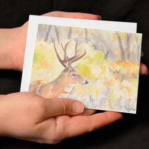 Wildlife Note Cards Nature Note Cards Set of Five From - Etsy