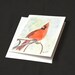 Wildlife Note Cards Nature Note Cards Set of Five From - Etsy