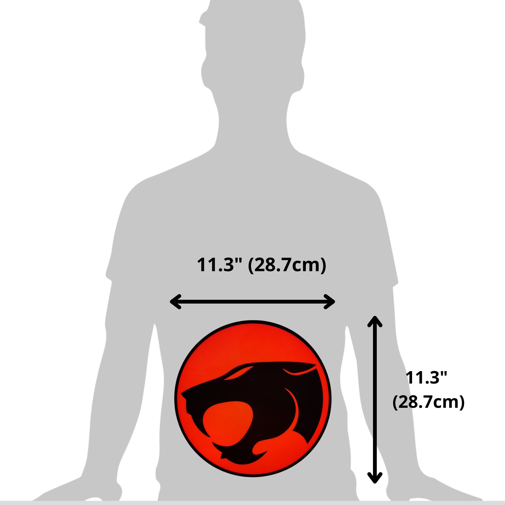 Vintage Thundercats LED Sign 3D Printed USB Powered & Full - Etsy