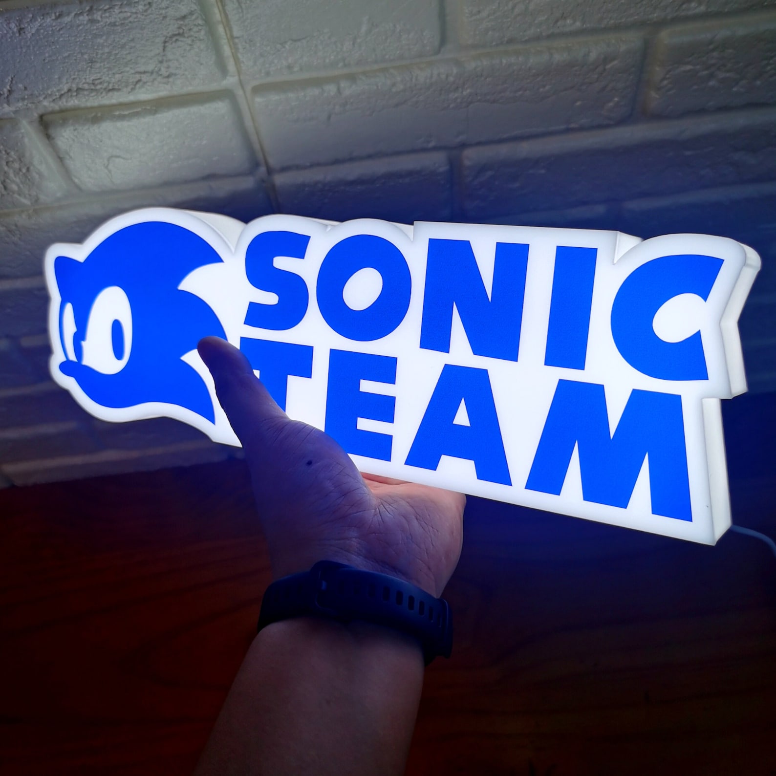 Sonic the Hedgehog Sonic Team Design Lightbox Hedgehog Gifts - Etsy