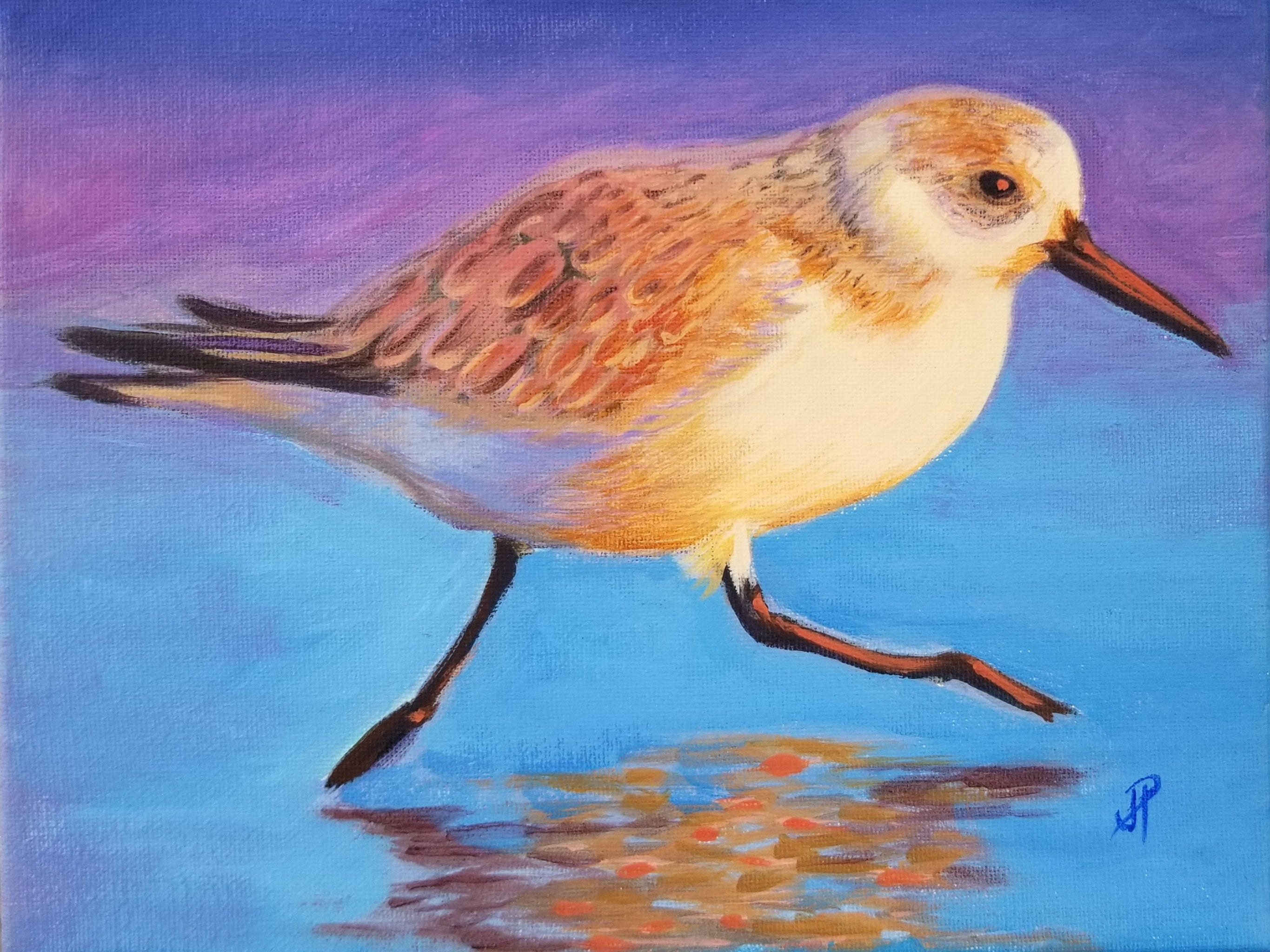 Sandpiper Painting,original Painting, Sandpiper - Etsy