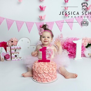 One Cake Topper Girl, 1 Cake Topper Girl, First Birthday Cake Decor ...