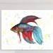 Fighterfish, Wall Art - Watercolour Fighter Fish, Splash Watercolor ...