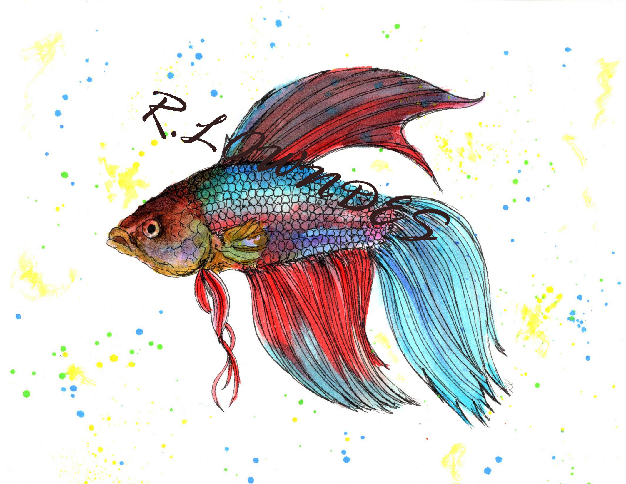 Fighterfish, Wall Art - Watercolour Fighter Fish, Splash Watercolor ...