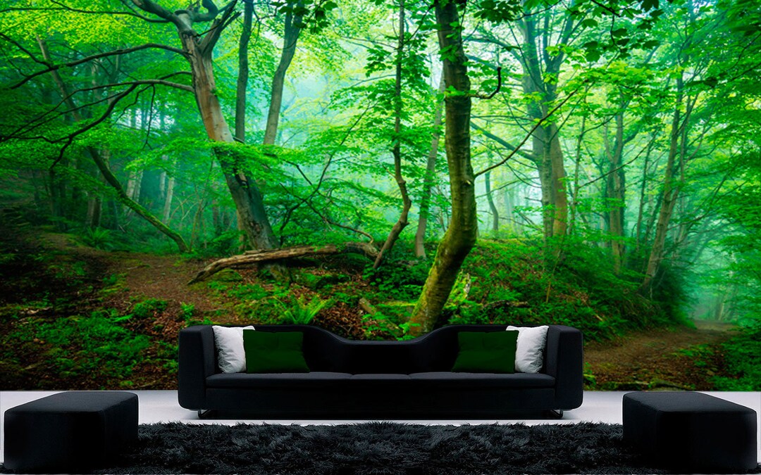 Forest Wall Mural Nature Removable Wallpaper Green Tree in Deep Forest ...