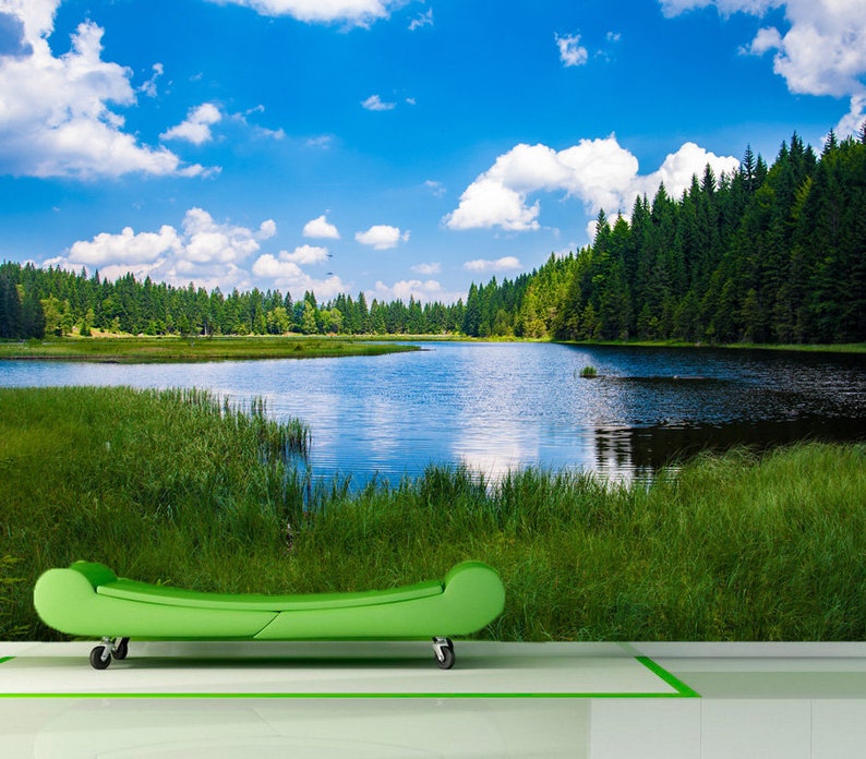 Lake Home Mural for Living Room Nature Large Wall Murals for - Etsy