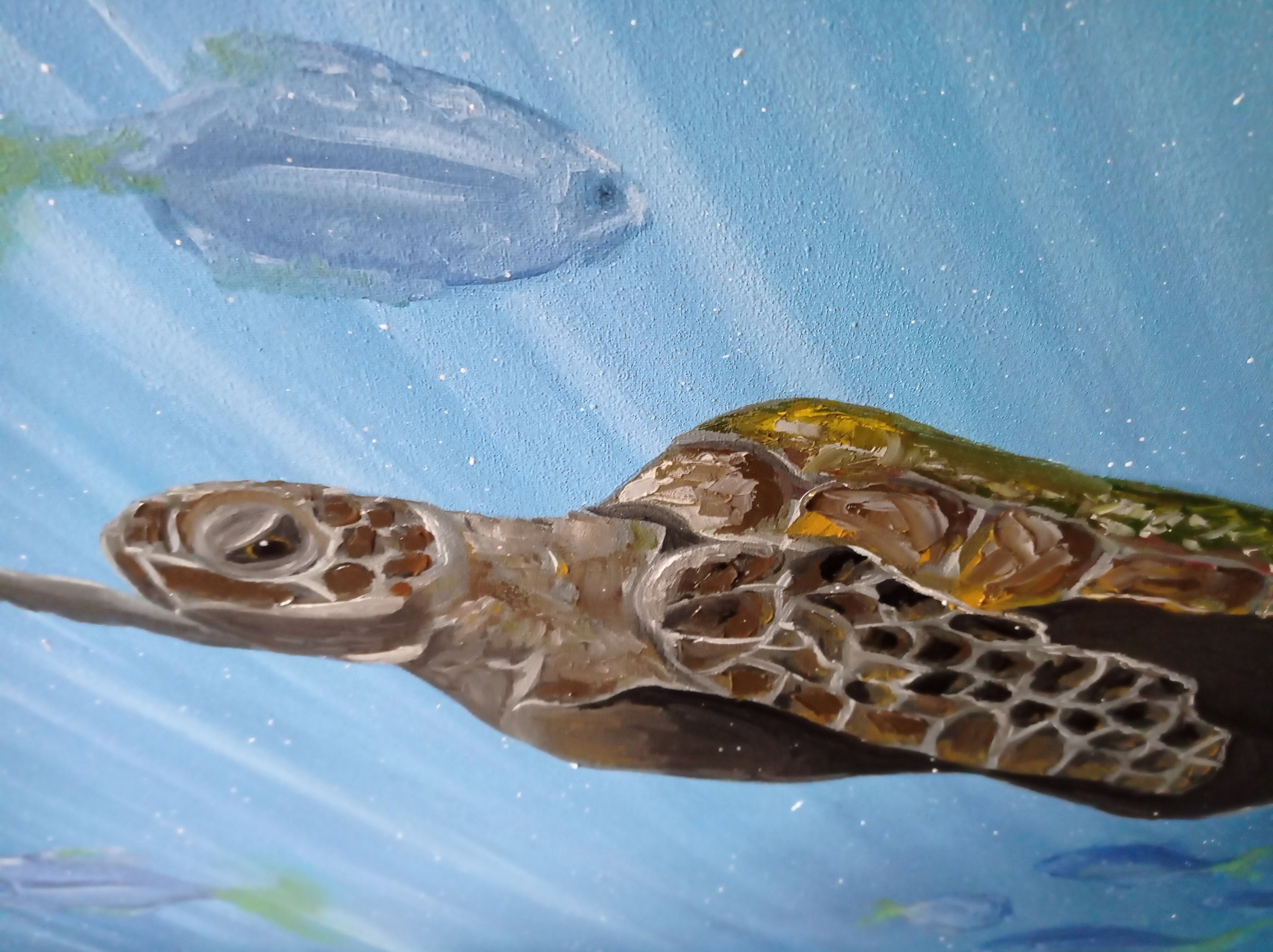 Painting Original Sea Turtle Painting Sea Art Turtle Oil - Etsy