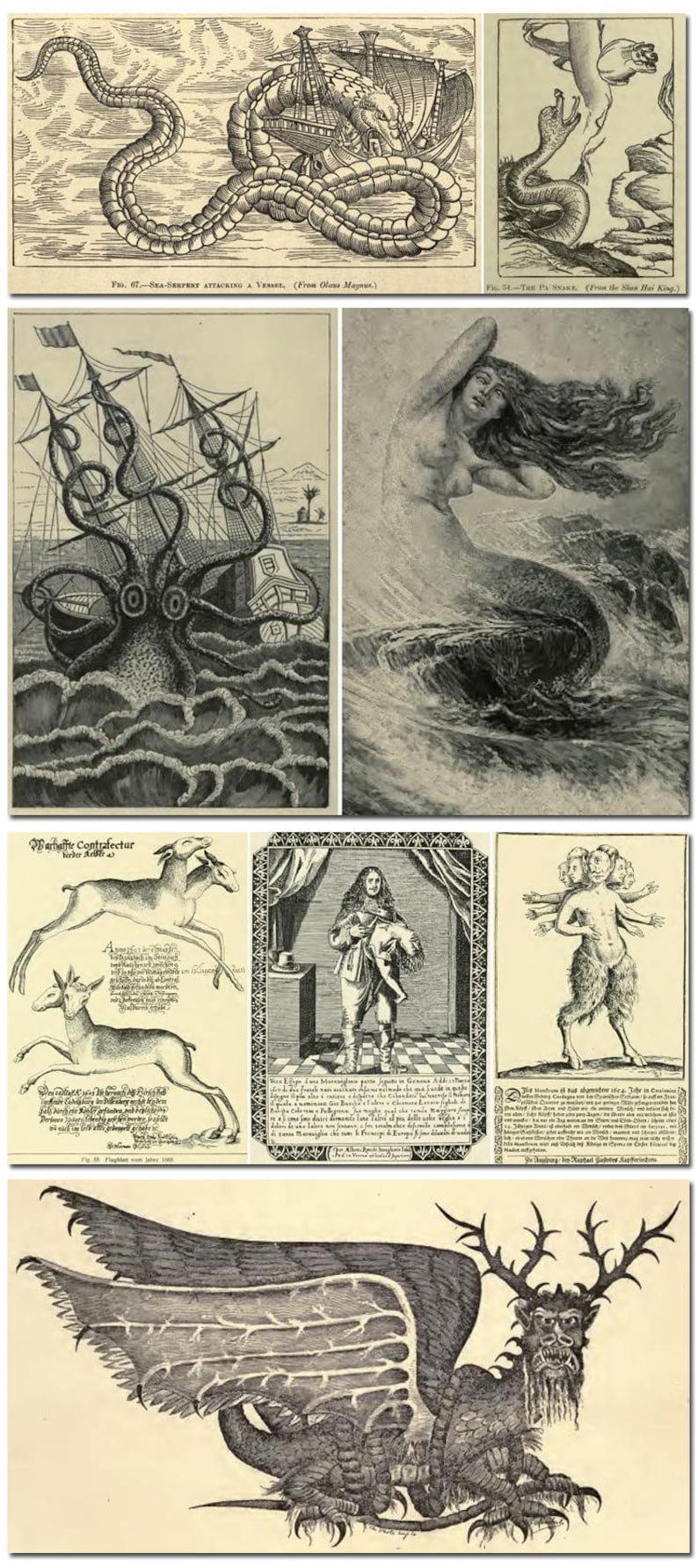 MYTHICAL CREATURES 24 Vintage Books Pdf + 650 Hi-res Images on Dvd-rom ...