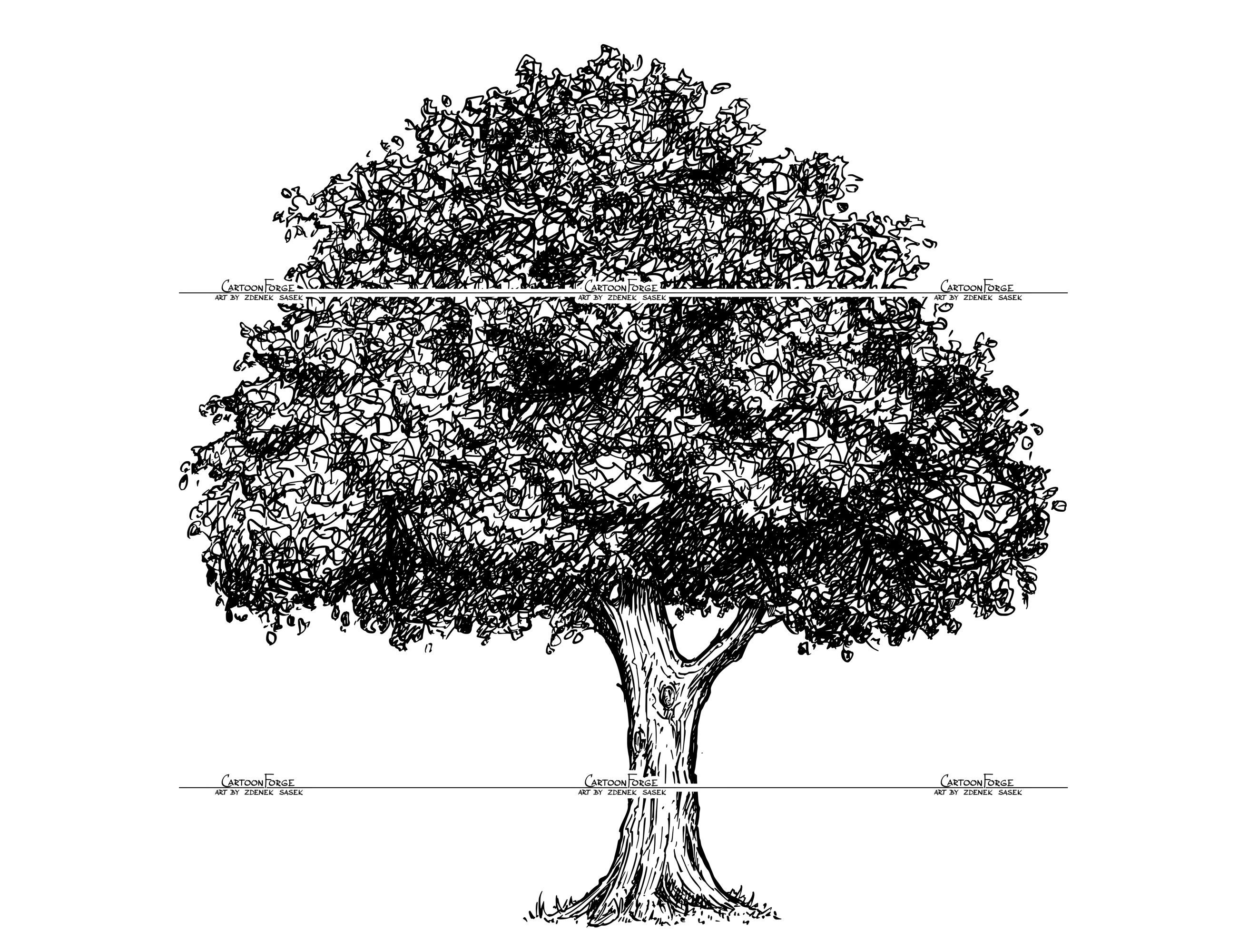 Artistic Drawing of Broadleaved Tree. Digital Cartoon Drawing, Vector ...