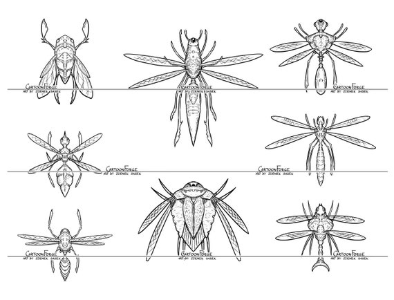 Alien Animal Designs