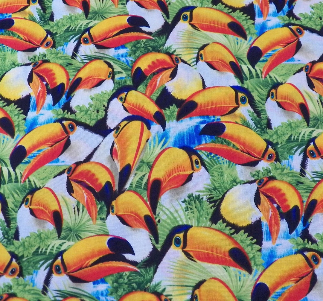 Timeless Treasures Toucan Bird Cotton Fabric, Tropical Jungle Fabric ...