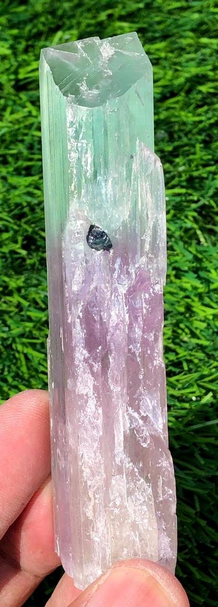 157 Grams Natural Terminated Bi Color Kunzite Crystal With Tourmaline ...