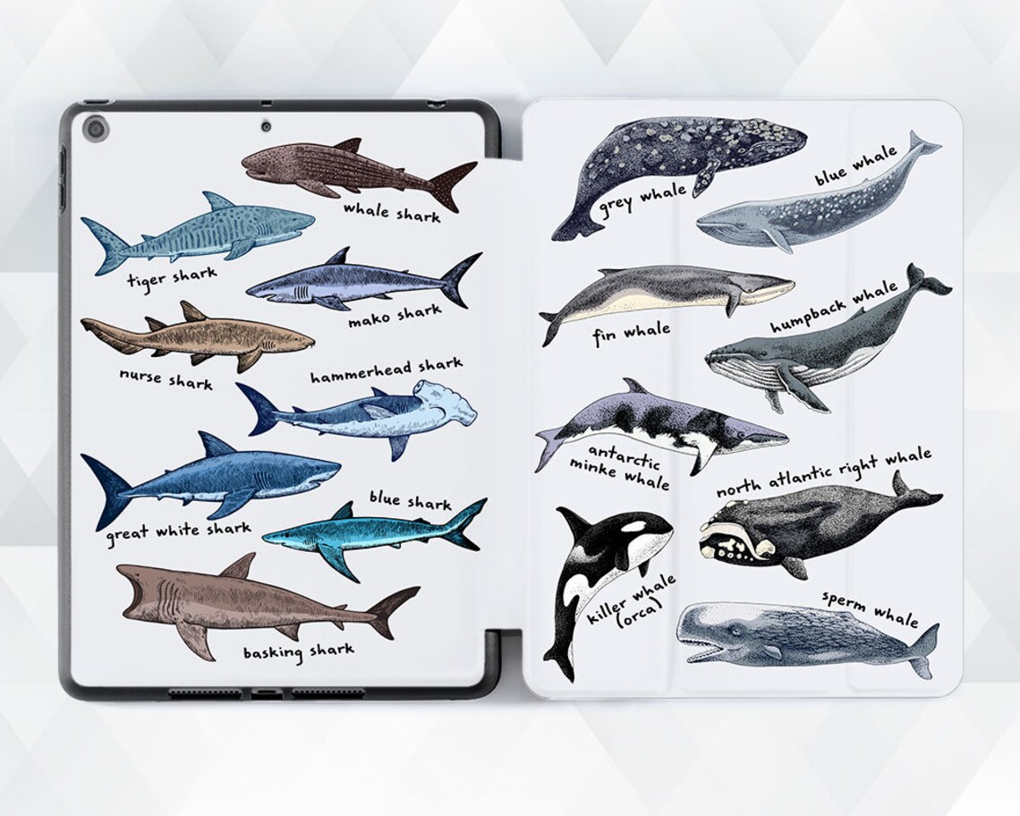 Ocean iPad Case Sharks Whales iPad Air 5 Air 4 iPad 9th Pro 12.9 10.2 ...