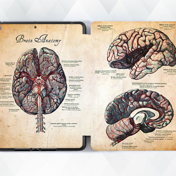 Brain Aesthetic Art - Etsy