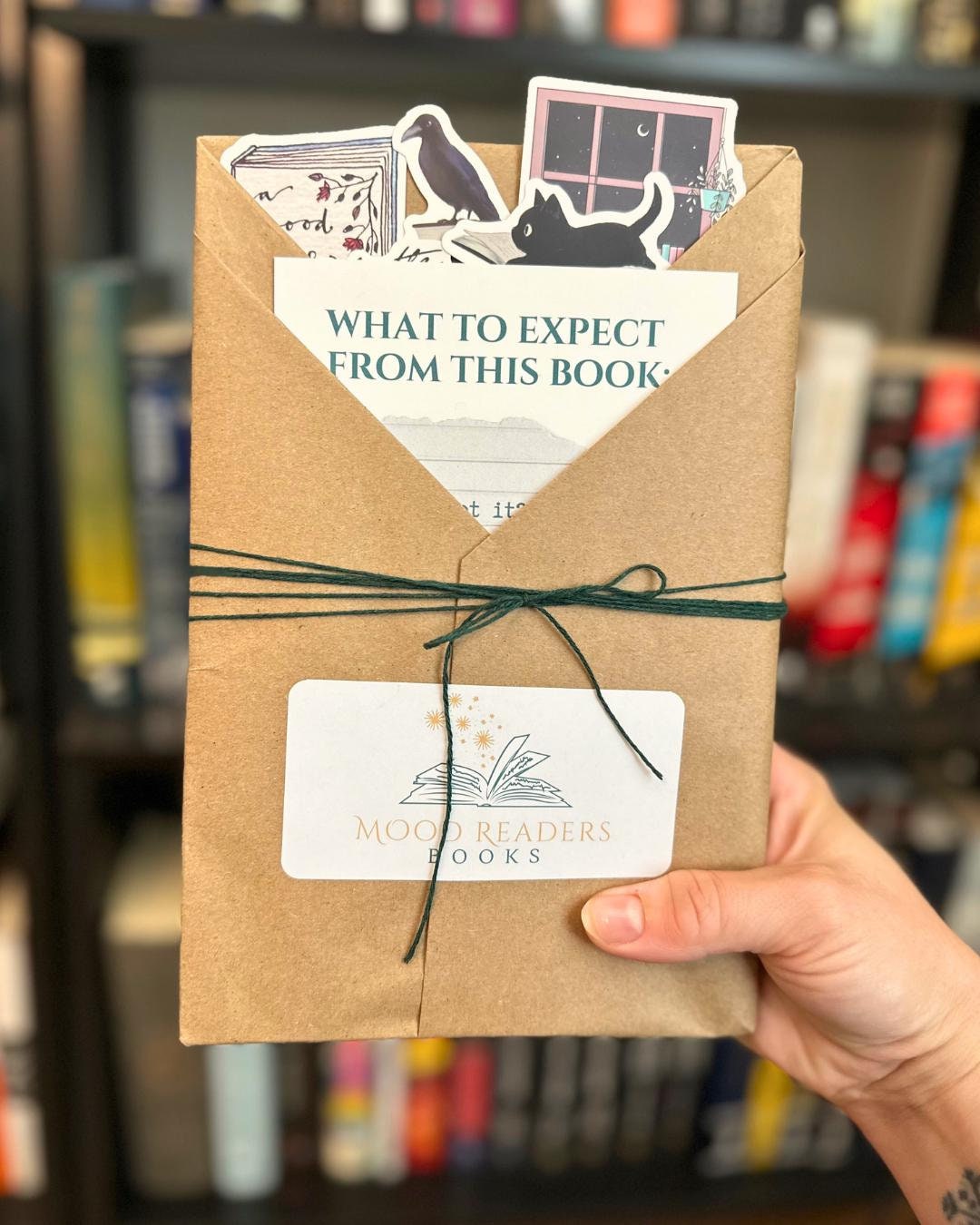 Blind Date With a Book - Fantasy Romance | Indie Authors - Etsy
